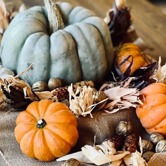 Jules Stone Live Beautiful